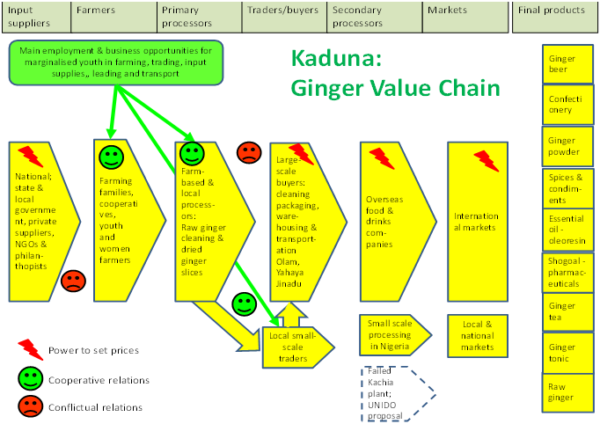 Ginger Value Chain – Octoville Development Company Limited
